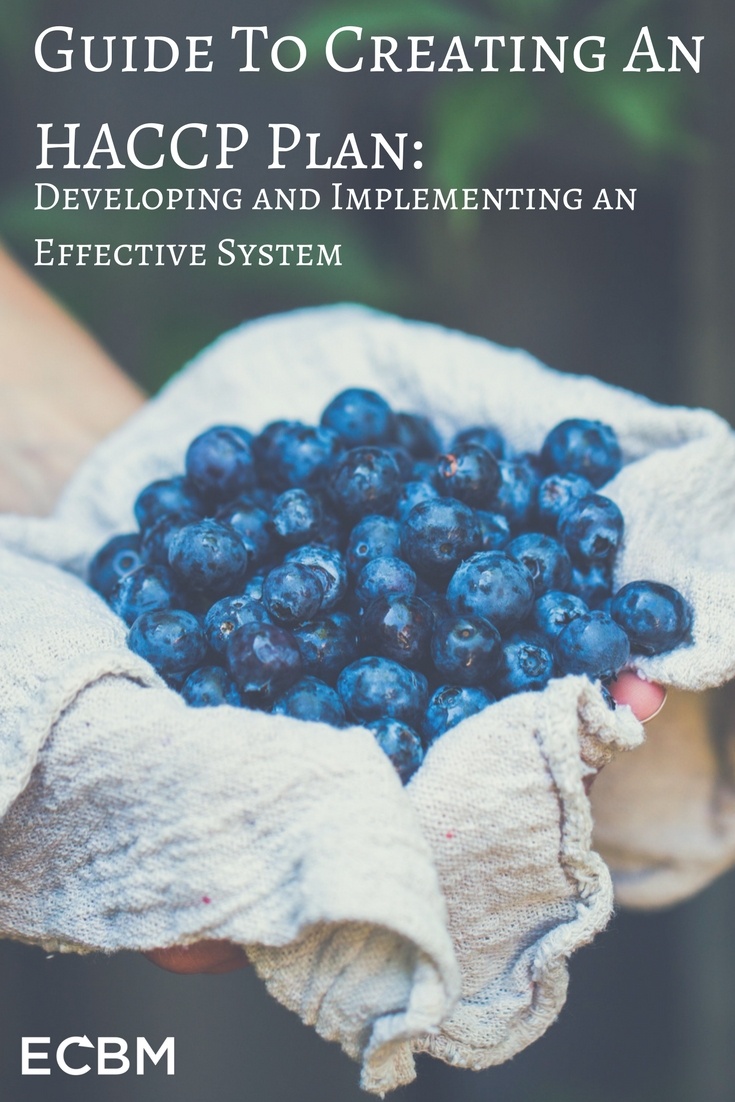 Guide To Creating A HACCP Plan